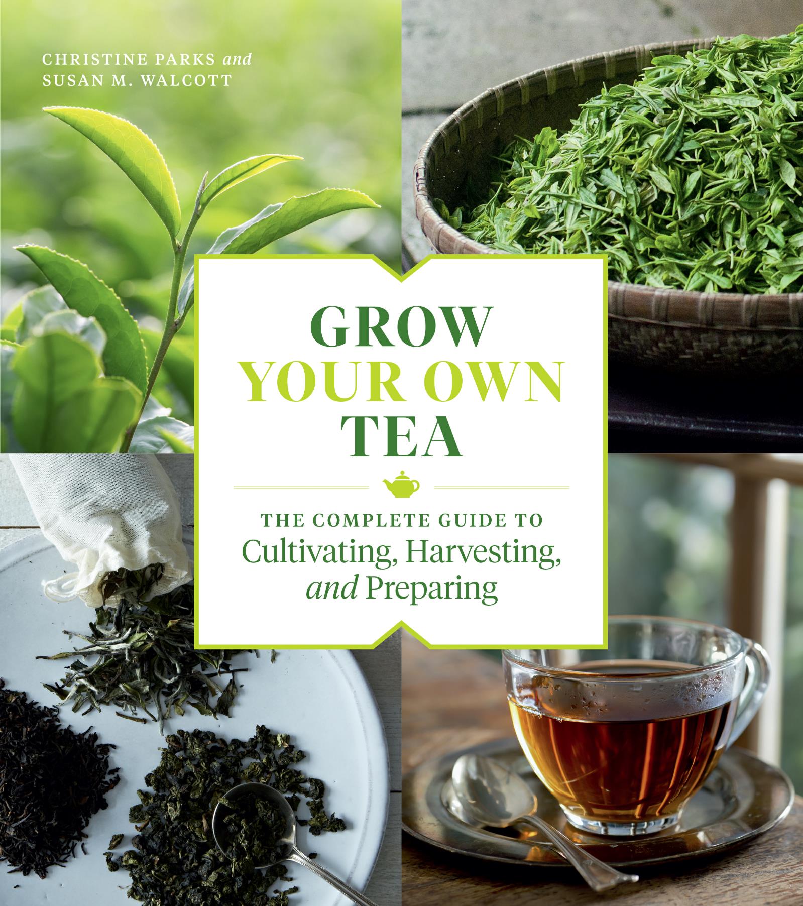Grow Your Own Tea: The Complete Guide
